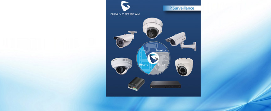 SECURITY MANAGER: Περιοδικό για την ασφάλεια Επιλέξτε την ιδανική IP ...